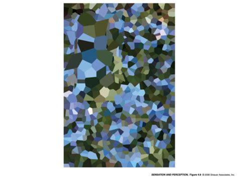 PSYC 305 Exam 2 Flashcards Quizlet