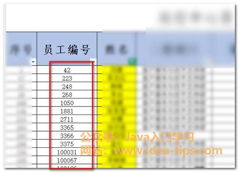 Excel如何查找重复的数据并高亮显示？ Java入门学习 博客园