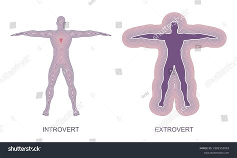Introvert Extrovert Comparison Human Outline Silhouettes Stock Vector Royalty Free