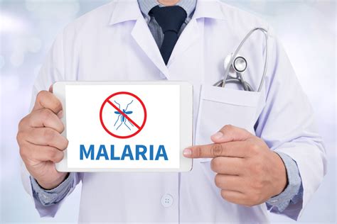 Scientists Find New Antimalarial Drug Targets