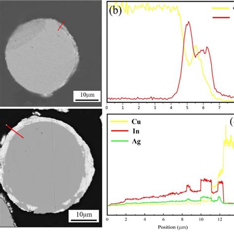 Sem Cross Sectional Image Of The Core Shell Particles A Cu In Download Scientific Diagram