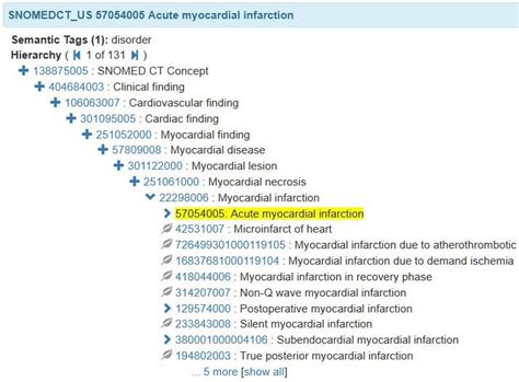 What Is Mapping In Terminology — Expert Healthcare Terminology Solutions