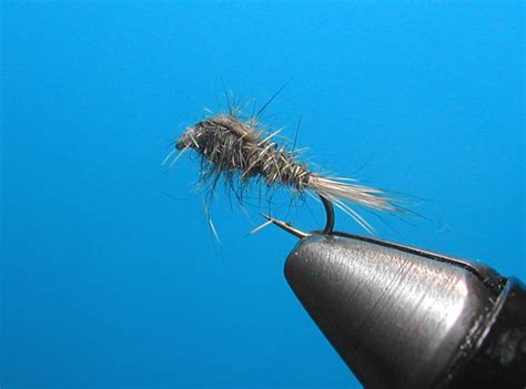 Hares Ear Nymph Stara Planina