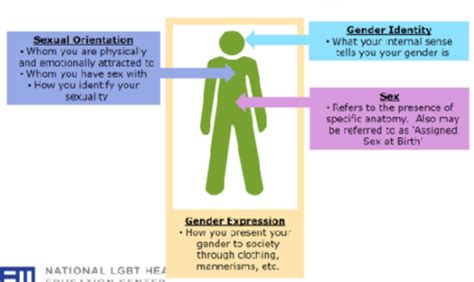 Patient Care I Sexual History Flashcards Quizlet
