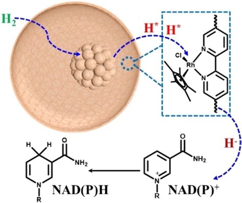 Enzyme‐compatible Core‐shell Nanoreactor For In Situ H2‐driven Nadph
