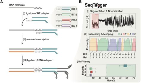 New Software Makes Makes Single Cell Rna Seq Analysis And Visualization