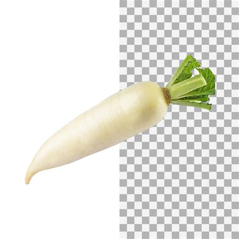 Daikon Psd 100 High Quality Free Psd Templates For Download