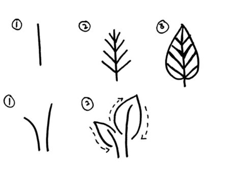 How To Draw Leaves 21 Best Tutorials For Beginners Craftsonfire