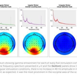 FIGURE E A LED Arrangement Of The Stimulation Device With H LED Download Scientific Diagram