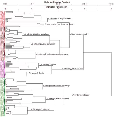 Cluster Composition Dendrogram Showing The Three Plant Communities And Download Scientific
