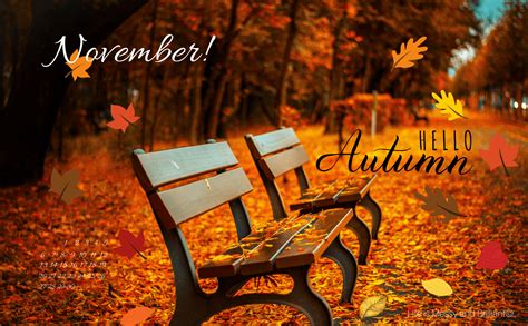 November Fall Wallpapers Top Free November Fall Backgrounds