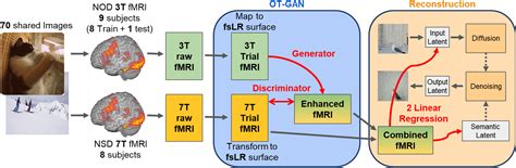 Reconstructing Retinal Visual Images From 3t Fmri Data Enhanced By