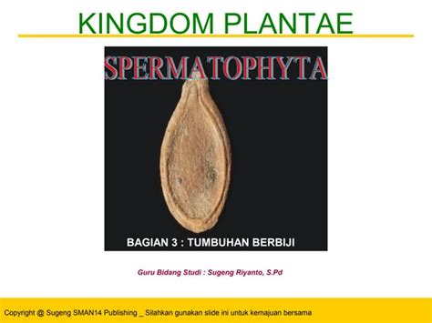 Presentasi Spermatophyta Ppt