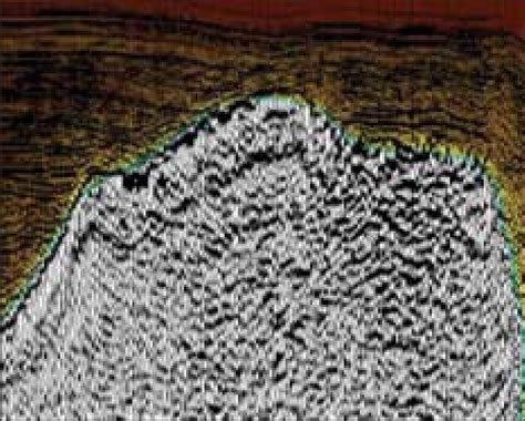 Overlay Of Near Offset Stack Volume And Salt Mask Attribute Color Download Scientific