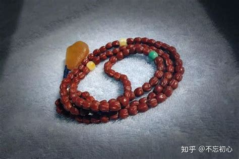 热振百香籽最全百科揭开网红菩提百香籽的面纱 知乎