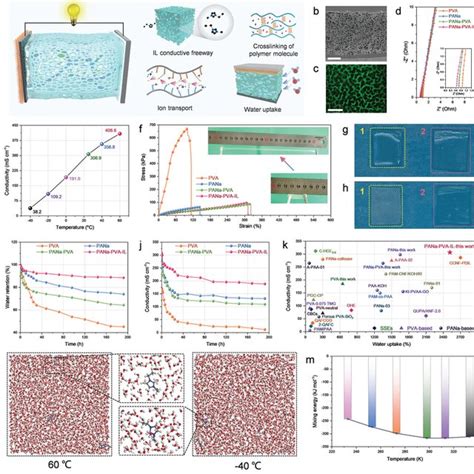 Characterization And Oxygen Reduction Reaction Orroxygen Evolution Download Scientific