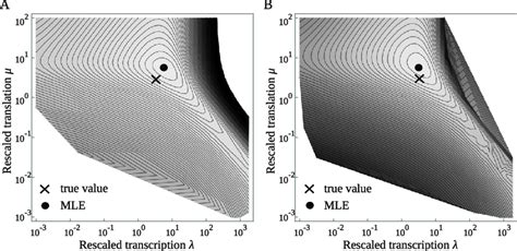 Log Likelihood Landscapes Inferred From A Simulation Of The Telegraph Download Scientific