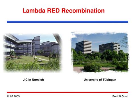 Ppt Lambda Red Recombination Powerpoint Presentation Free Download