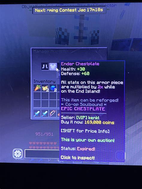 Went On My Old Profile To Find Ender Armor When It Was Not Souldbound