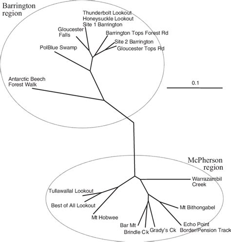 Dendrogram of UPGMA cluster analysis constructed by using pairwise φ ST Download Scientific