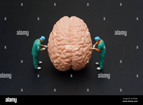 Realistic Model Of A Human Brain Is Examined By Two Miniature Surgeon Figurines Dressed In