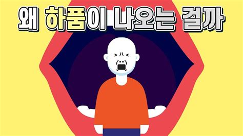 하품을 하는 이유와 하품을 하면 눈물이 나오는 이유 Youtube