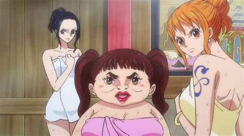 Who Is Shinobu In One Piece