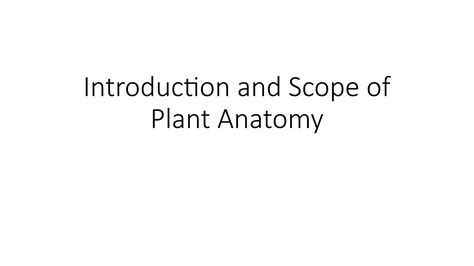 Anatomy Of Angiosperms Beginners Lecture 1pptx