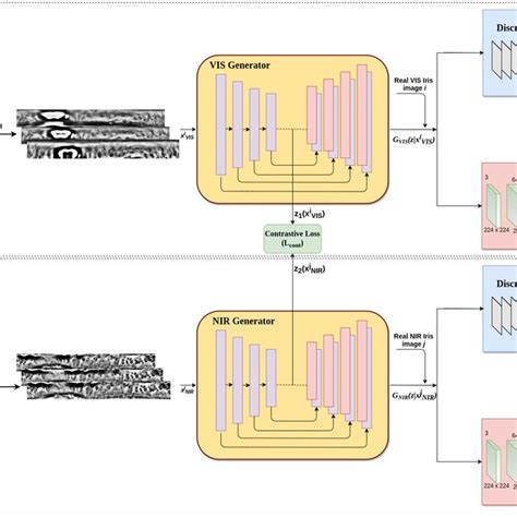 Architecture Of Our Proposed Conditional Cpgan Framework During Download Scientific Diagram