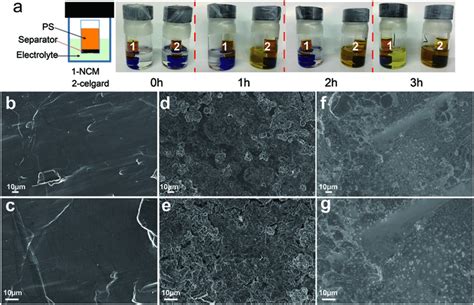 A Visual Verification Of The Diffusion Test Each Device Comprised PS Download Scientific