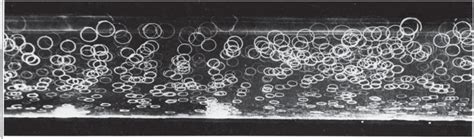 Lagrangian Particle Trajectories Underneath Two Dimensional Deep Water