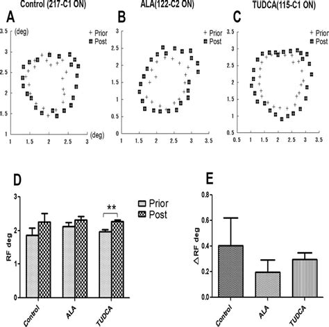 Receptive Field Size Variation Prior To And Post Antioxidant Treatment Download Scientific