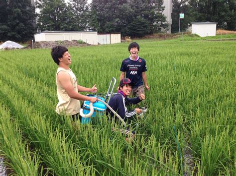 Laboratory Of Crop Science School Of Agriculture Graduate School Of Agriculture Faculty Of