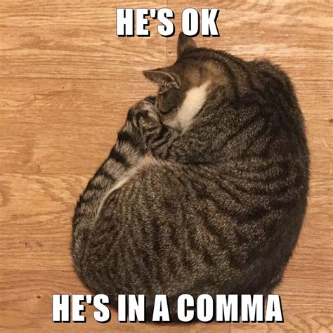 Hes Ok Lolcats Lol Cat Memes Funny Cats Funny Cat Pictures With Words On Them Funny