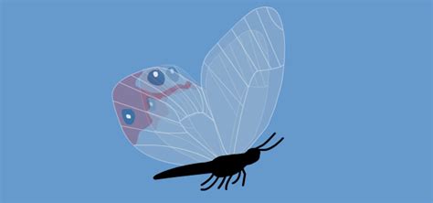 Rainforests Easy Quiz Brainpop Jr