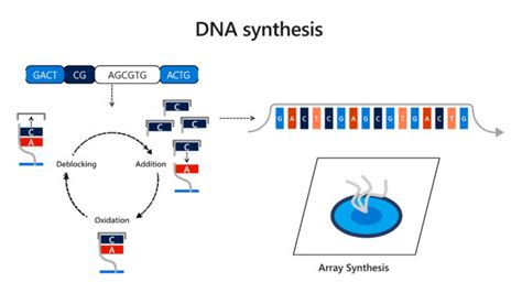 Unlocking The Future Of Computing The Analog Iterative Machines