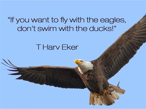 Aquib Ali Shaikh Posted On Linkedin