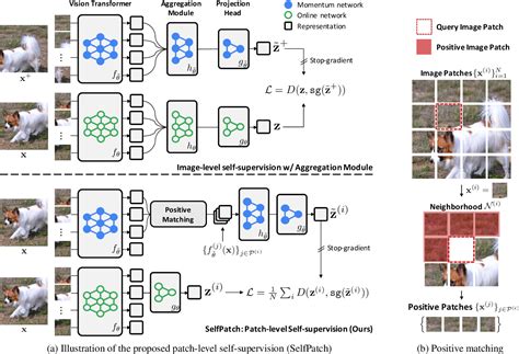 Figure 1 From Patch Level Representation Learning For Self Supervised