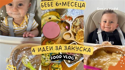 4 Лесни Рецепти за закуска БЕБЕ 6 Месеца 👩🏻‍🍳 Youtube