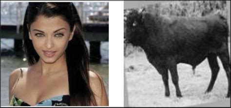 An Example Of Algorithmic Perceptual Similarity Color Figure Available Download Scientific