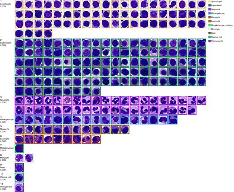 Slide Vector Plot