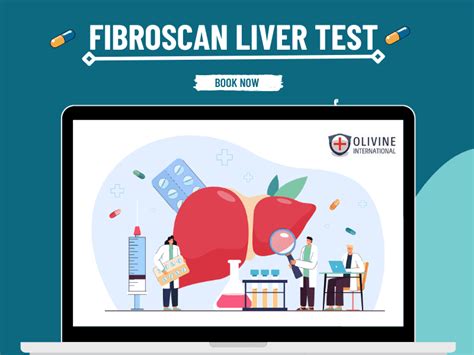 Understanding The FibroScan Liver Test By Olivine International