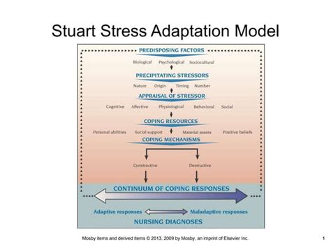 Stress Adaptation Cyclepptx