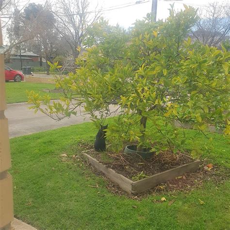 아침에 창문 밖을 보니