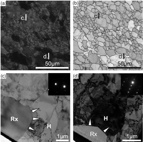 A Optical Micrograph Crossed Polarizer Showing The Transition Zone