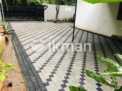 Interlock Design With Malaysian Grass For Sale Kelaniya Ikman