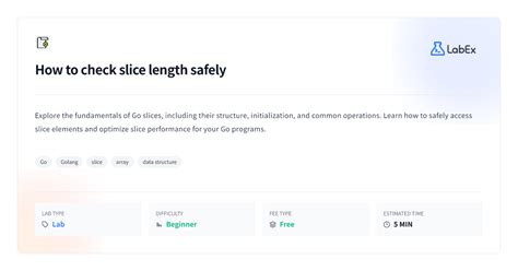 How To Check Slice Length Safely Labex