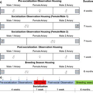 A Represents The Physical Layout Of The Enclosures For Each Download Scientific Diagram