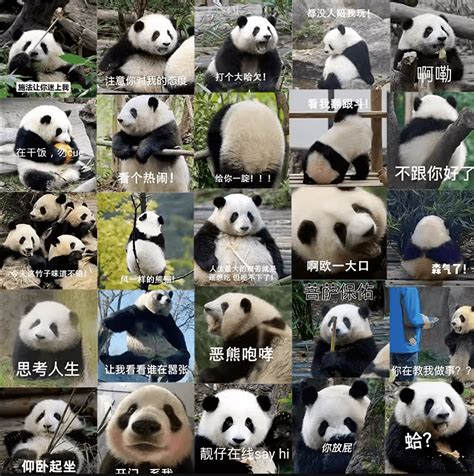 今日入伏！警惕“情绪中暑”身体调节睡眠