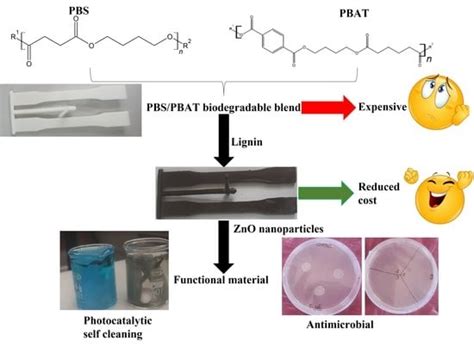 Polymers Free Full Text Fabrication Of A Polybutylene Succinate Pbspolybutylene Adipate